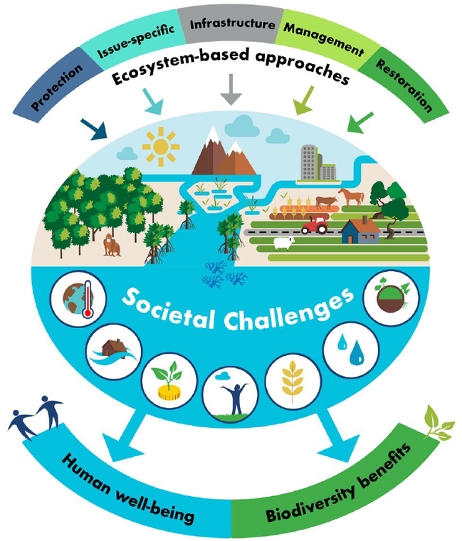 90th UNEP/UNESCO/BMUV International Short Course - Optimizing Soil Health for Enhanced Ecosystem ...