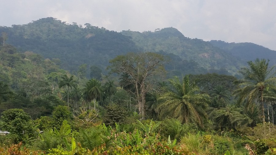 AFRIKA_FORST PROJECT — Professur für Tropische und Internationale ...
