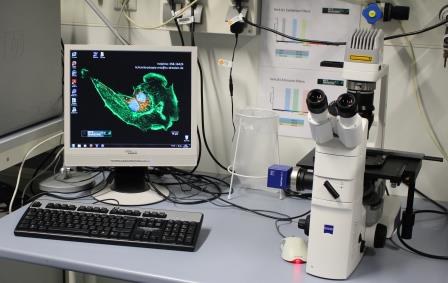 Zeiss Vert A.1 - Weitfeldmikroskop — CFCI - Core Facility Cellular Imaging — TU Dresden