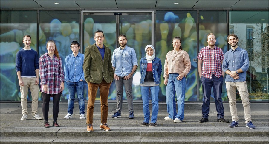 Dresdner Studie entschlüsselt neuen zentralen Mechanismus in ...